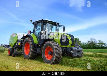 Claas Arion 630 tractor with a round baler making round bales of silage ...