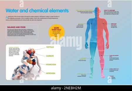 Elements of the human body Stock Photo - Alamy
