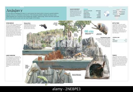 Infographic of biomes and ecosystems of the African continent and its ...