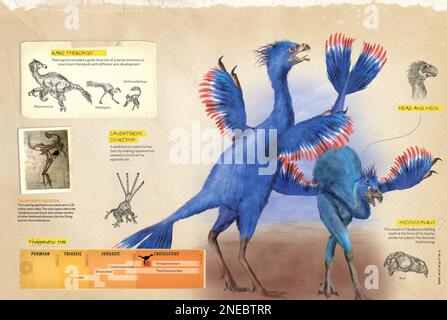 Infographics of dinosaurs fossils from the Cretaceous period found in ...