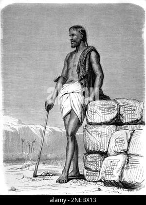 CHAD Central North Africa People Portrait of nomadic Bororo woman with ...