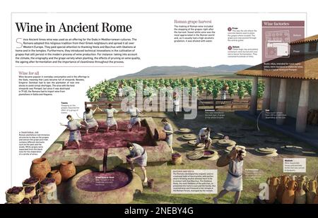 Infographic about the dietary habits and banquets in Ancient Rome (1st ...