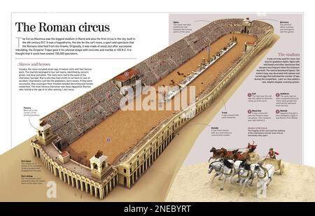 Infographic about gladiators' combats in ancient Rome (3rd century BC ...