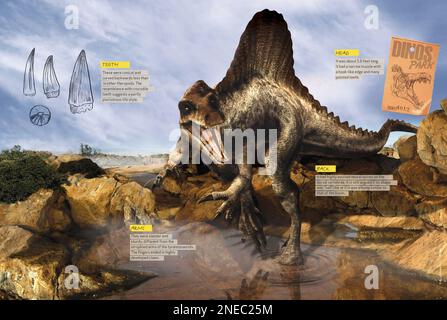 Infographics about the Spinosaurus, a carnivorous dinosaur from the ...