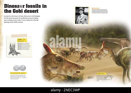Dinosaurs of the Cretaceous Period - Gobi Desert Stock Photo - Alamy