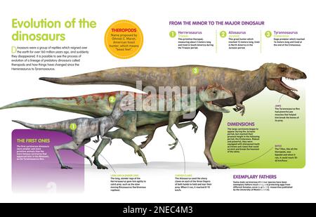 Infographic about the Triassic period (251 million years ago), of the ...