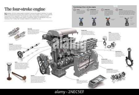 Infographic about the four-stroke engine of an automobile. [QuarkXPress ...