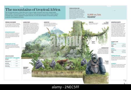 Infographic of biomes and ecosystems of the African continent and its ...