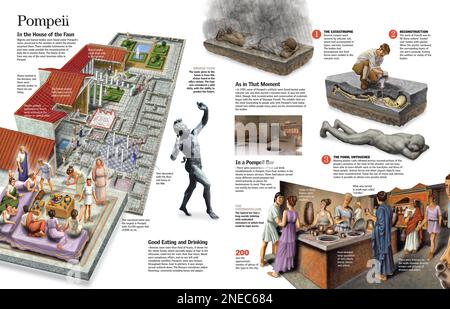 Infographic about the ancient Roman city of Pompeii before and after ...