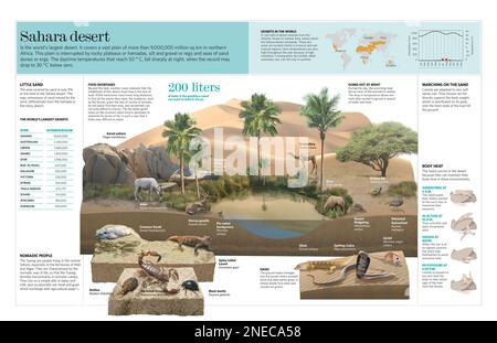 Infographic of biomes and ecosystems of the African continent and its ...