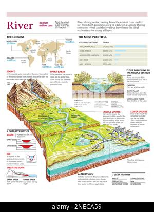 Infographic about the phases of the course of a river, its flow and the ...