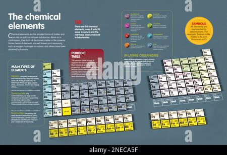 Infographic of the chemical elements and the periodic table. [Adobe ...