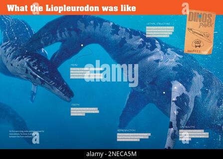Infographics about the liopleurodon, a marine predator from the ...