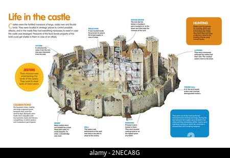 Infographic of the structure and life in a castle during the medieval ...