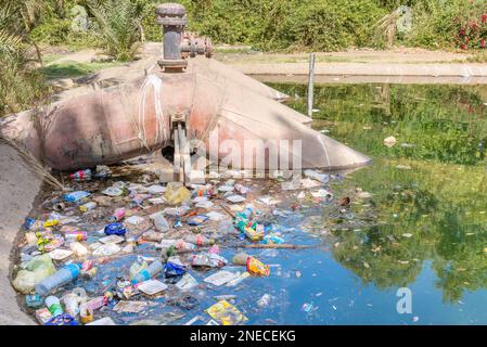 Plastic waste in a pond pumped from the River Nile at Aswan, Egypt ...