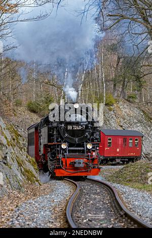 Harz nostalgic railway experience in the Selke Valley Stock Photo - Alamy