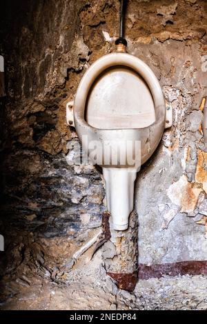 Old toilet men WC pissoir Stock Photo - Alamy