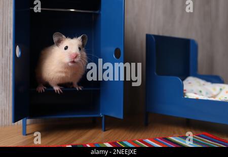 Adorable hamster inside tiny wardrobe in room with toy furniture Stock ...