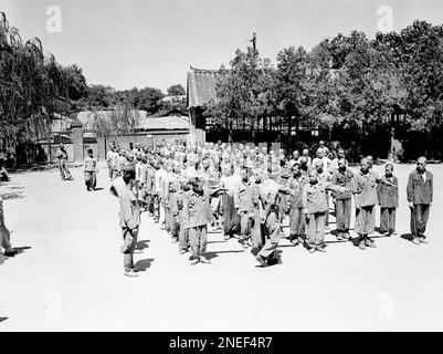 North Korean prisoners of war line up for chow at the POW camp, Pusan ...