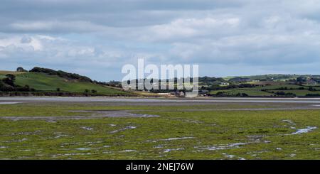 Open seabed after low tide, swamp. Green hill. White clouds in a sky. Irish landscape. The coast ...