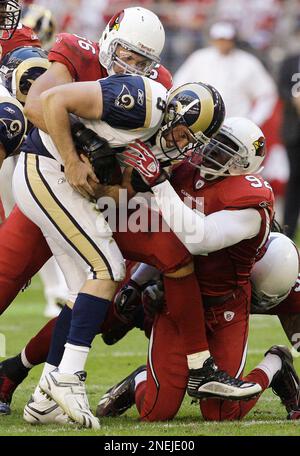 Arizona Cardinals' Bertrand Berry (92) tries to pull down Tennessee ...