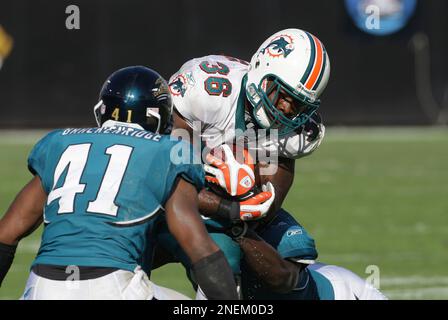 Miami Dolphins FB Lousaka Polite during an NFL football game against ...