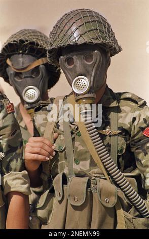 A soldier of the Syrian Arab Army is wearing a gas mask on September 09 ...