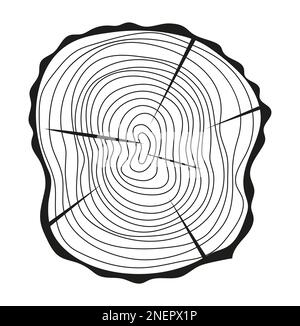 Round tree trunk cuts, sawn pine or oak slices, lumber. Saw cut timber ...
