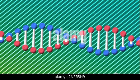 Composition of macro of dna strand on striped background Stock Photo ...