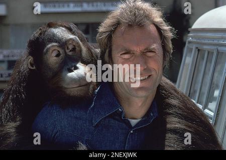 Clint Eastwood, Clyde / Every Which Way But Loose 1978 directed by ...