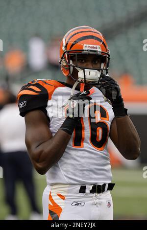 Cincinnati Bengals receiver Greg Orton during practice at their NFL ...