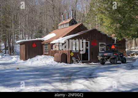 A maple syrup sugar house manufacturing building with steam rising from ...