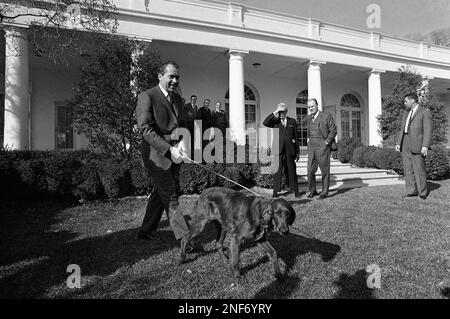 Richard Nixon with his six month old Irish Setter, King Timahoe. The ...