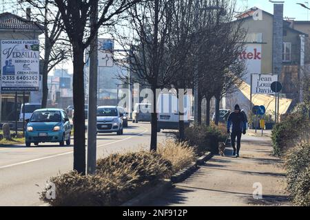 Pavement with trees and bushes on a country road Stock Photo - Alamy