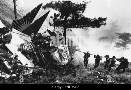 The wreckage of a Philippine Airlines plane which crashed into a ...