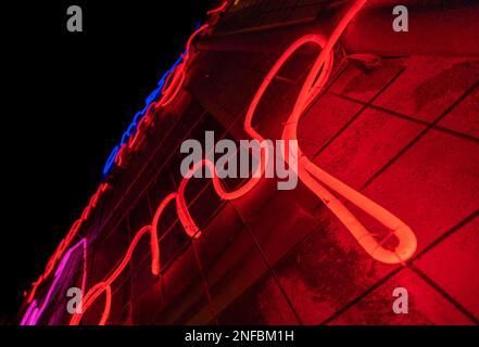 Illuminated letters and words made with neon lights and LEDs of many ...