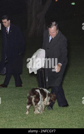 President George Bush is greeted by his dog Ranger at the White House ...