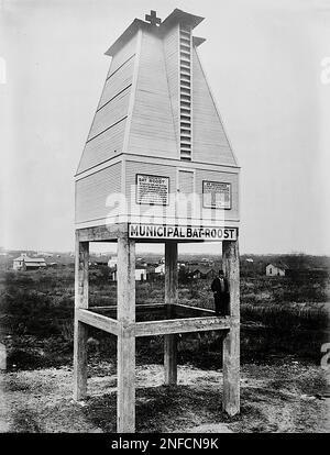 Bat roost sign Stock Photo - Alamy