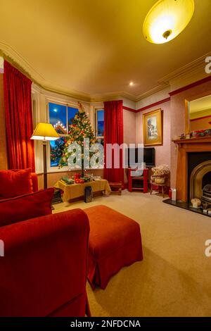 A typical lounge decorated with a Christmas tree Stock Photo - Alamy