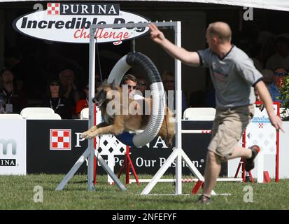 Rusty Pearson of Mansfield, Tex. and his dog Maxxwell compete in the ...