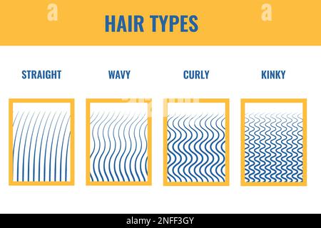 Hair types chart set of straigt, wavy and curly strands Stock Vector ...