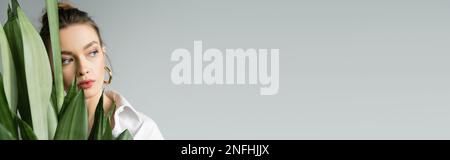 banner with young shoot with green leaves on an old rusty background ...