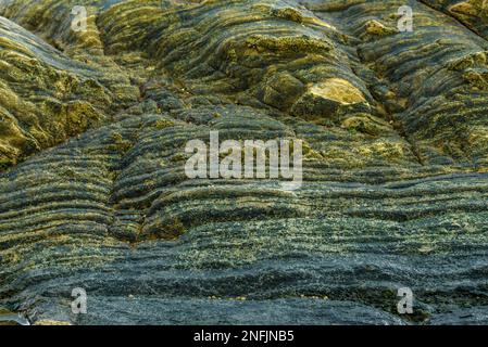 This close-up photo of rocks showcases the rugged, natural beauty of ...