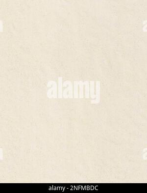 textured old paper background with large shiny monstera leaf Stock ...