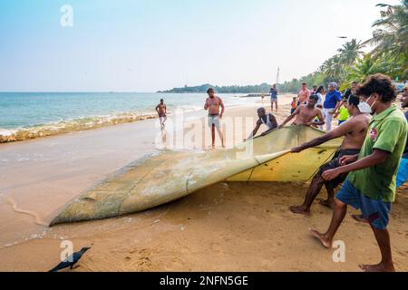 Fishermen on a beach, Tangalle, Sri Lanka, Asia Stock Photo - Alamy