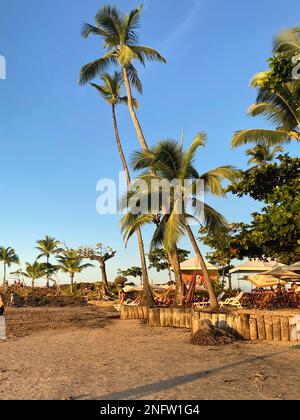 Bahia and its beaches - the beaches of the municipality of Itacaré, in ...