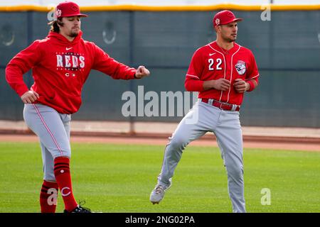Cincinnati Reds catcher Luke Maile (22) makes a catch during a baseball ...