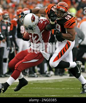 Cincinnati Bengals linebacker Landon Johnson in an NFL football game ...