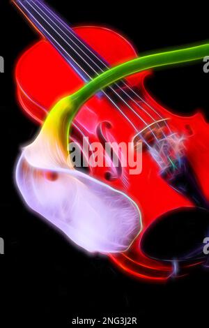 Calla Lily And Strings Still Life Stock Photo - Alamy