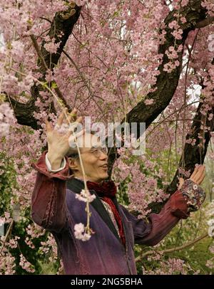 Chinese-born painter Szeto Keung, who specializes in painting flowers ...